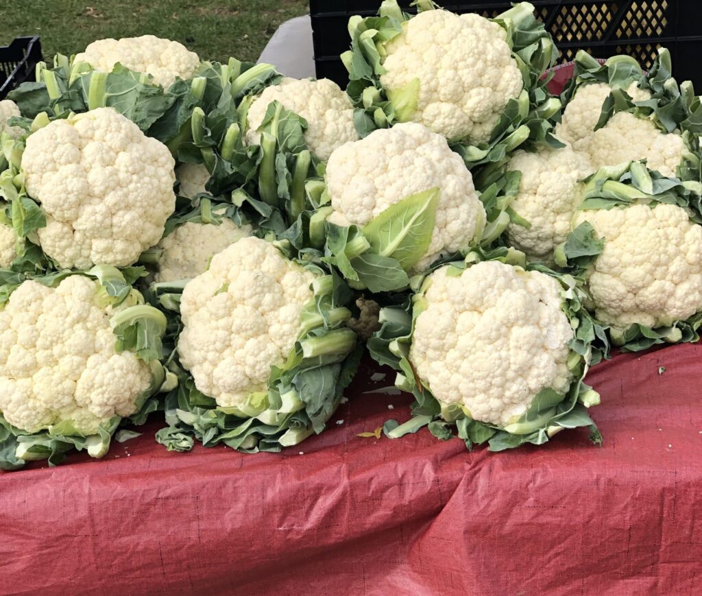 What's in Season: October! - Plan to Eat