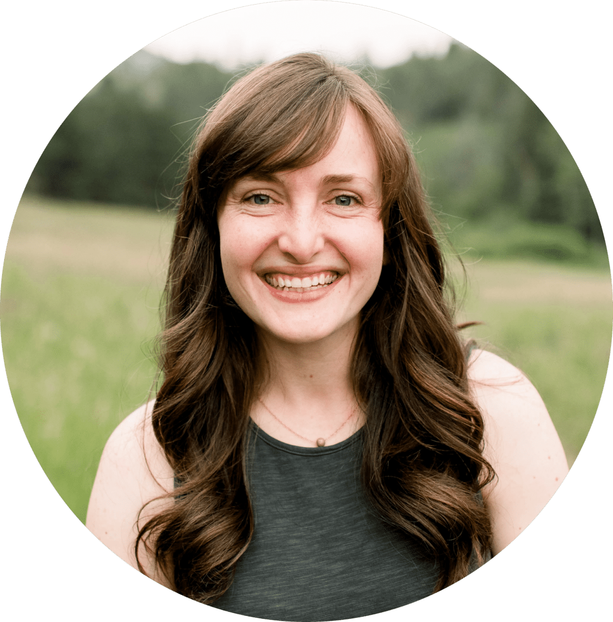 What's New at Plan to Eat: December 2025 - Plan to Eat