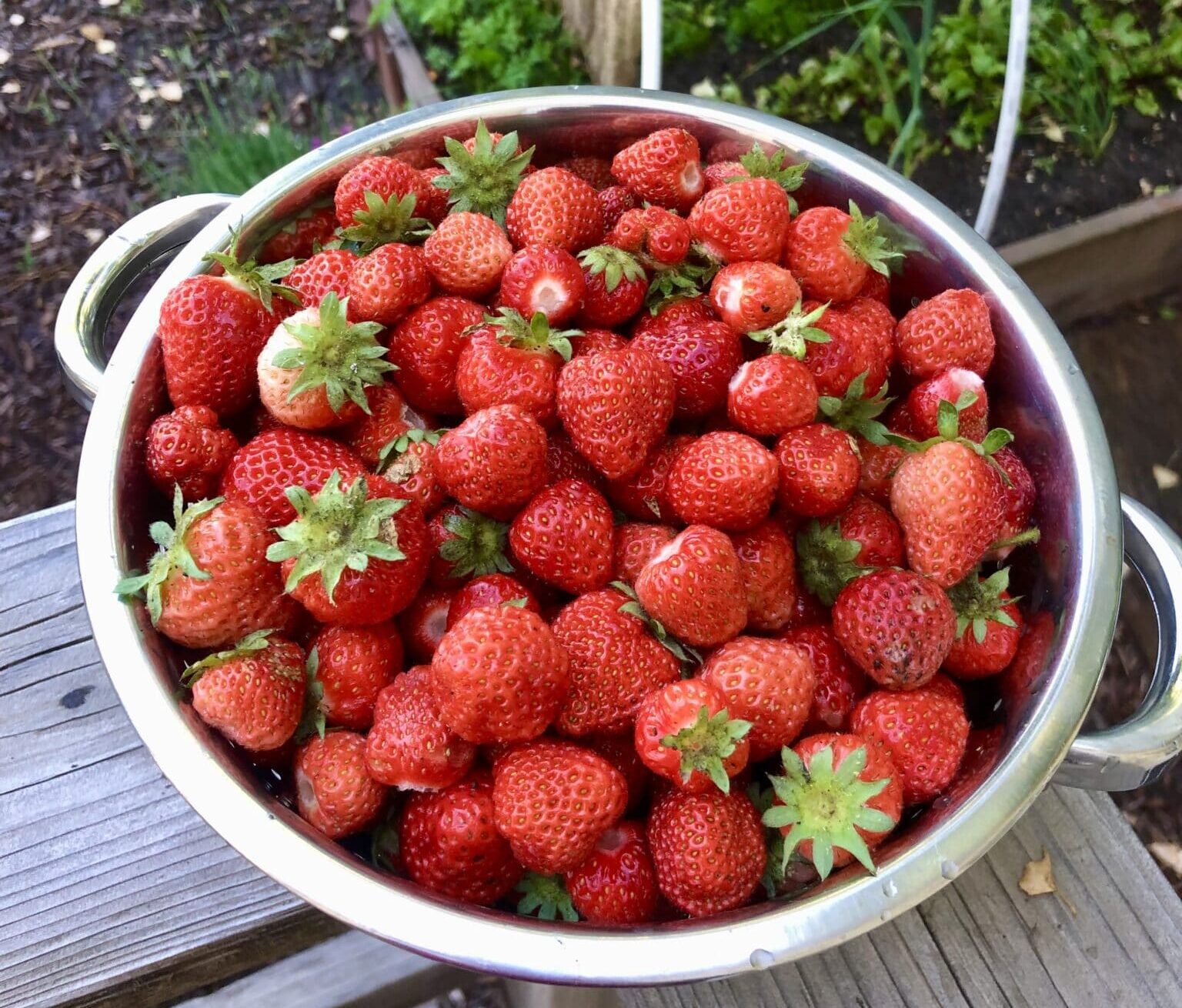 Learning to Eat Seasonally - Spring Edition - Plan to Eat